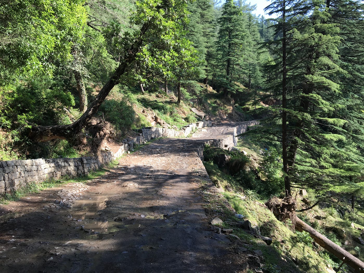 A journey through the realms. This story begins in the village of… | by ...