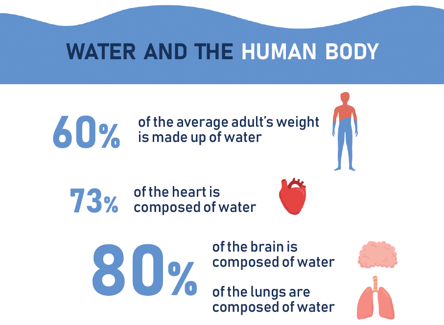 Your Body Needs Water to Survive. Did you know that a person is mostly ...