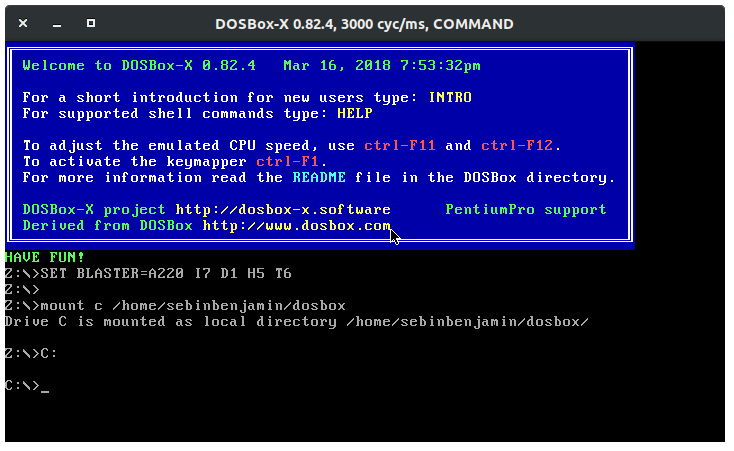 Getting to know the Legacy Turbo C/C++. How to get it running on Ubuntu using DOSbox + Why you ...