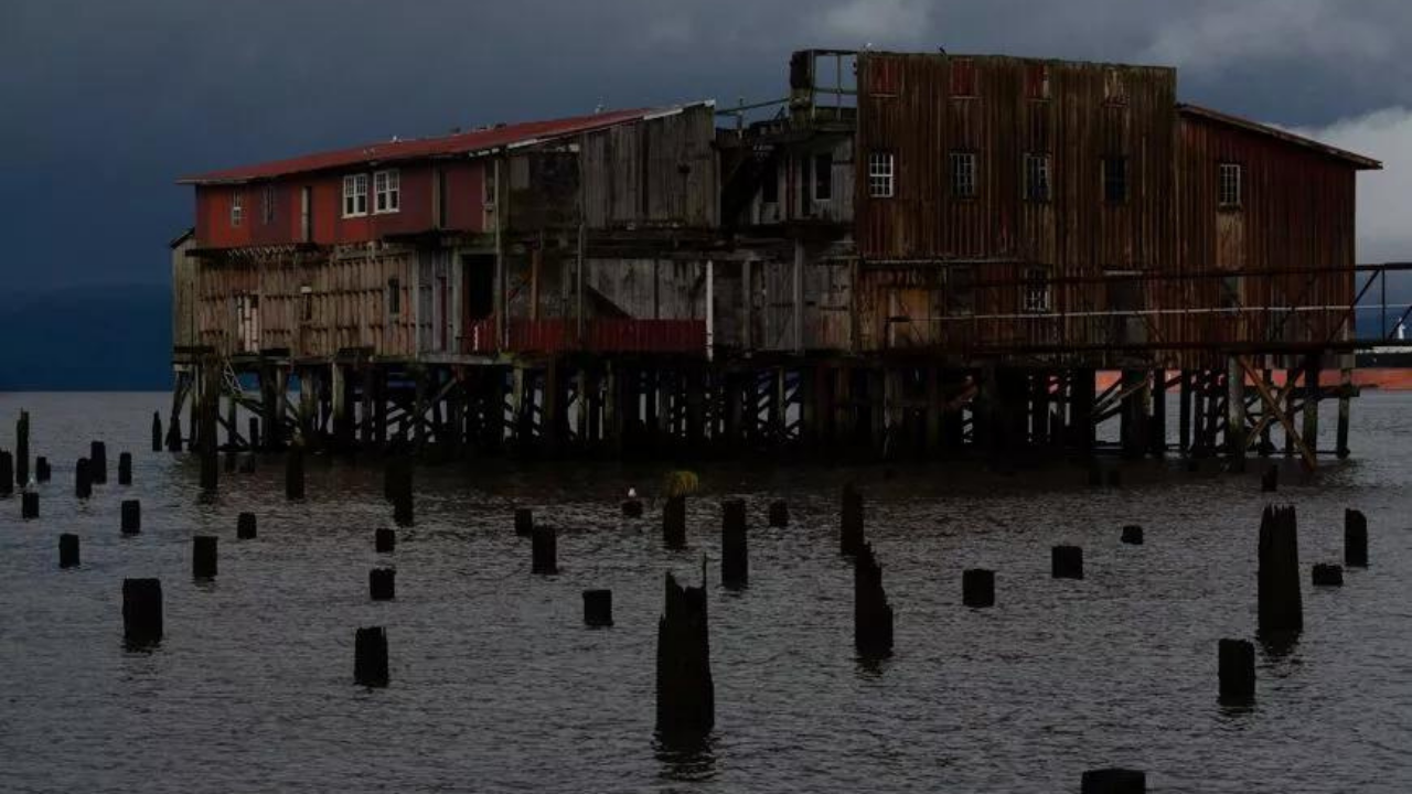 Photography 101 — Understanding Exposure | by SUMIT SHARMA | Geek ...