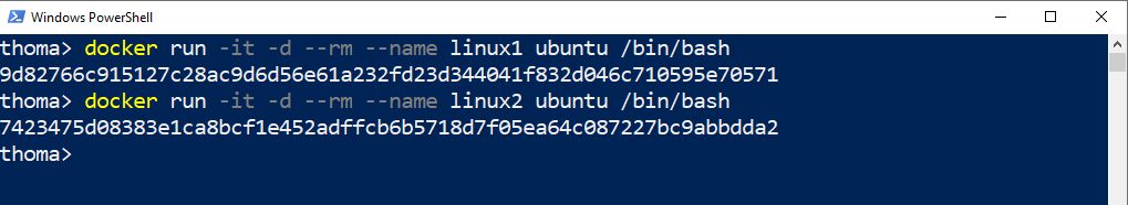 Docker Run Tutorial For Absolute Beginners Part 2 Run Multiple Docker Containers Explained 8315