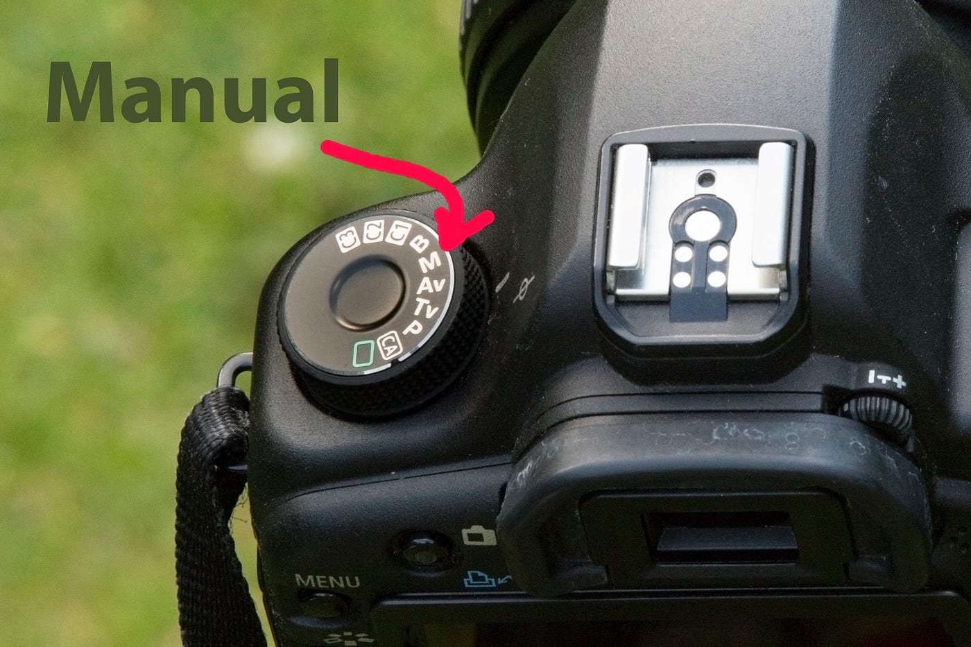 Do you “Always Use Auto” on your DSLR? | by Kay Ransom Photography | Medium