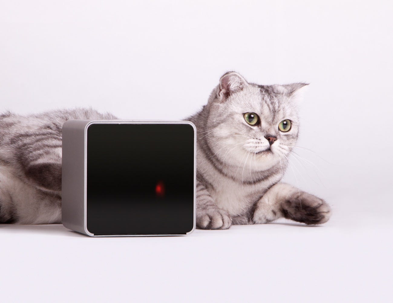 10 Smart Pet Gadgets For Your Furry Friends | by Gadget Flow | Gadget ...