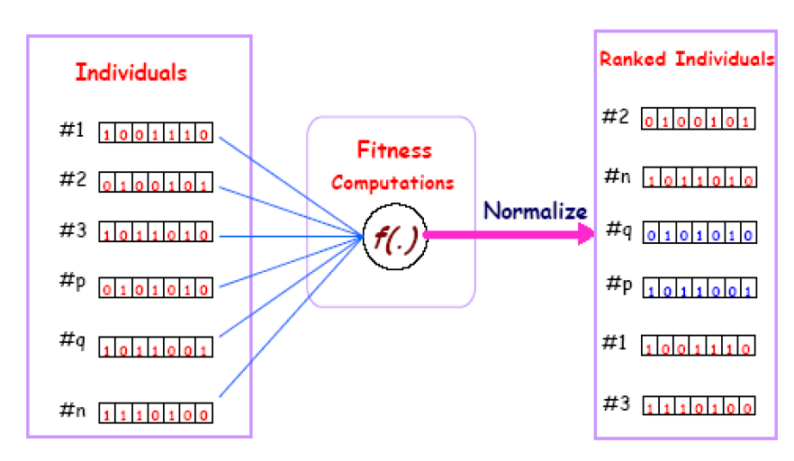 Biologically-Inspired AI: Genetic Algorithms | by James Le | Cracking ...