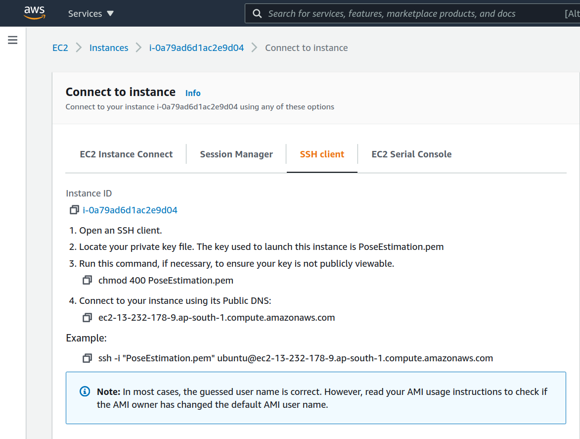 Deploying a flask application on AWS EC2 instance (free tier) for Pose ...