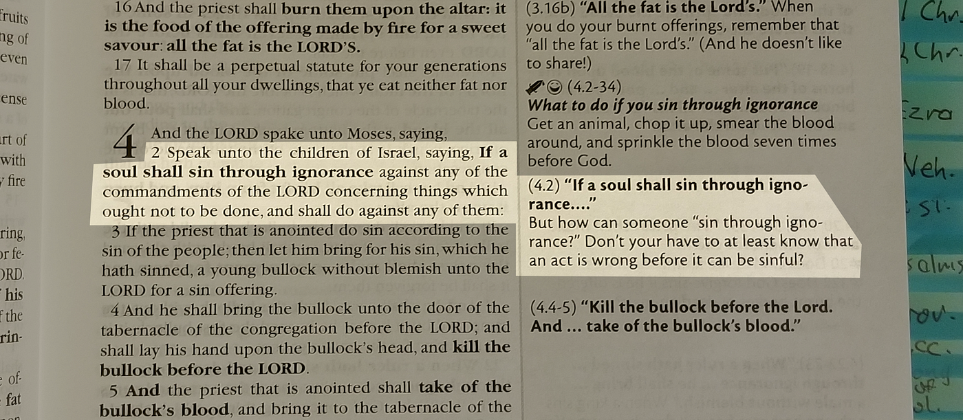 The Skeptics Annotated Bible. A Brief Introduction | by Darht Bjehl ...