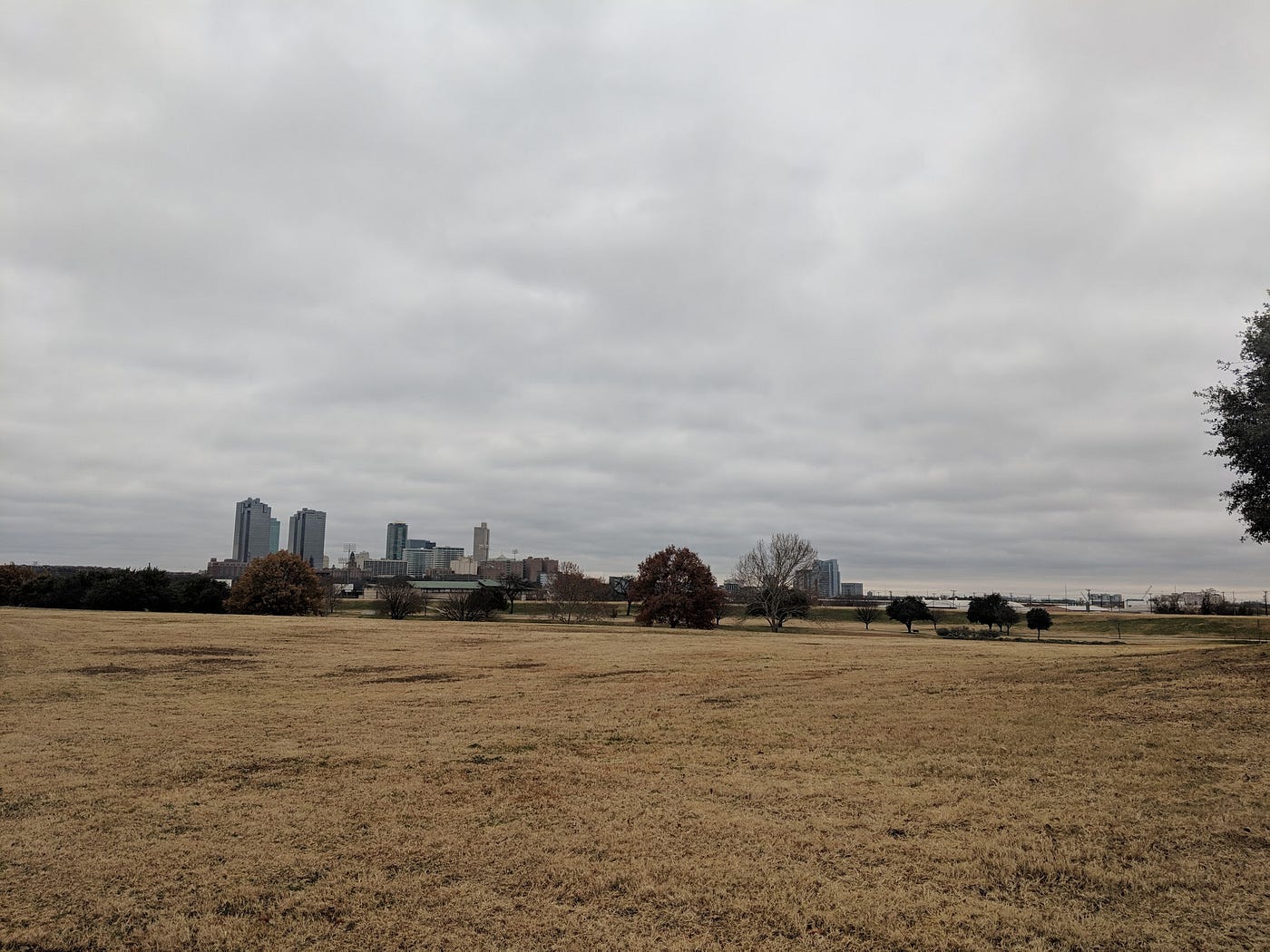 Keeping Texas beautiful: How Fort Worth communities tackle ...