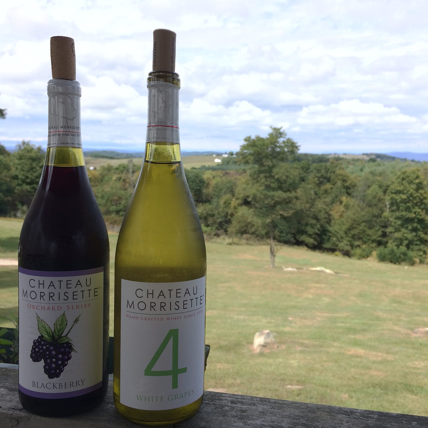 Let the dogs make the wine. Chateau Morrisette — my favorite… | by ...