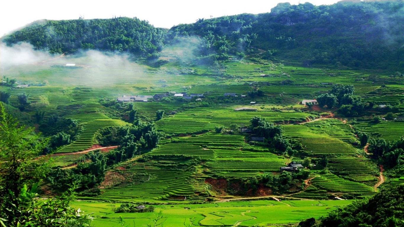 Top 7 beautiful roads in Vietnam. These days, with the development of ...