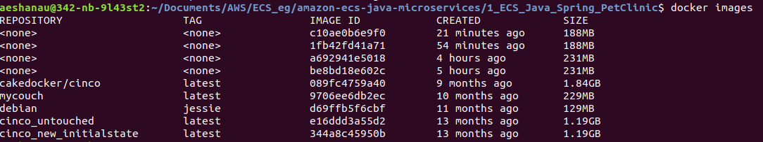 Deploying Java Microservices On Amazon Elastic Container Service Ecs By Aeshana Shalindra
