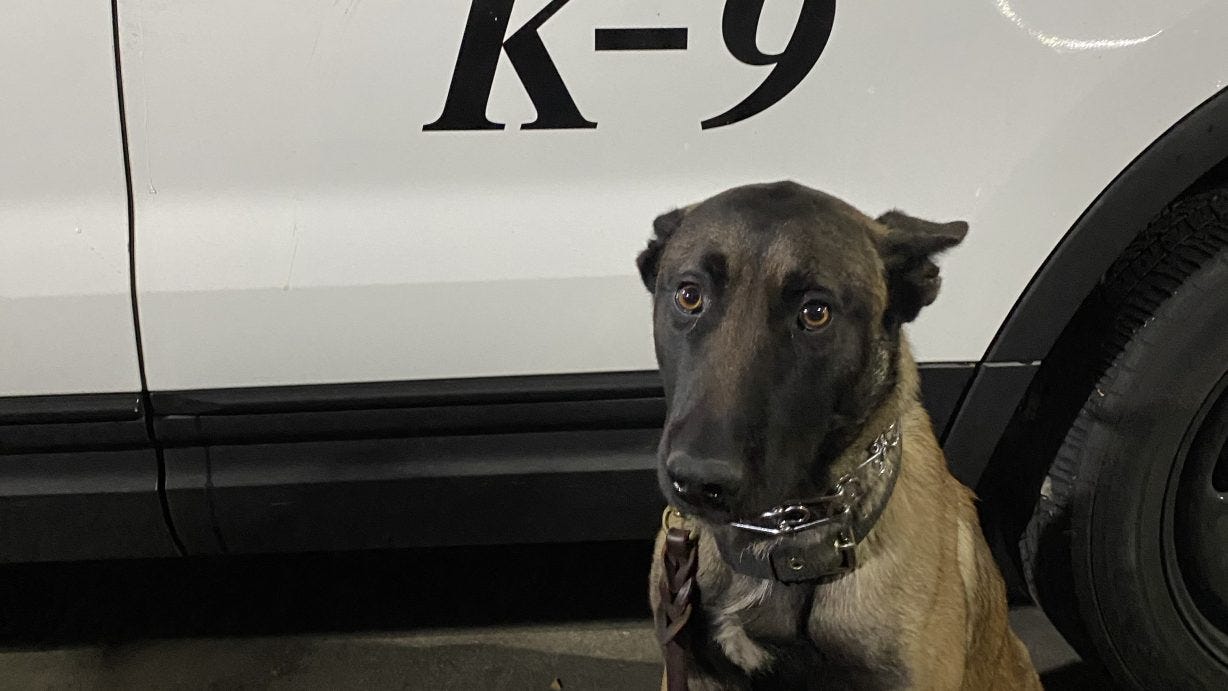 LAPD Officer Keeps K-9 Unit Dogs Caged for Days | KNOCK