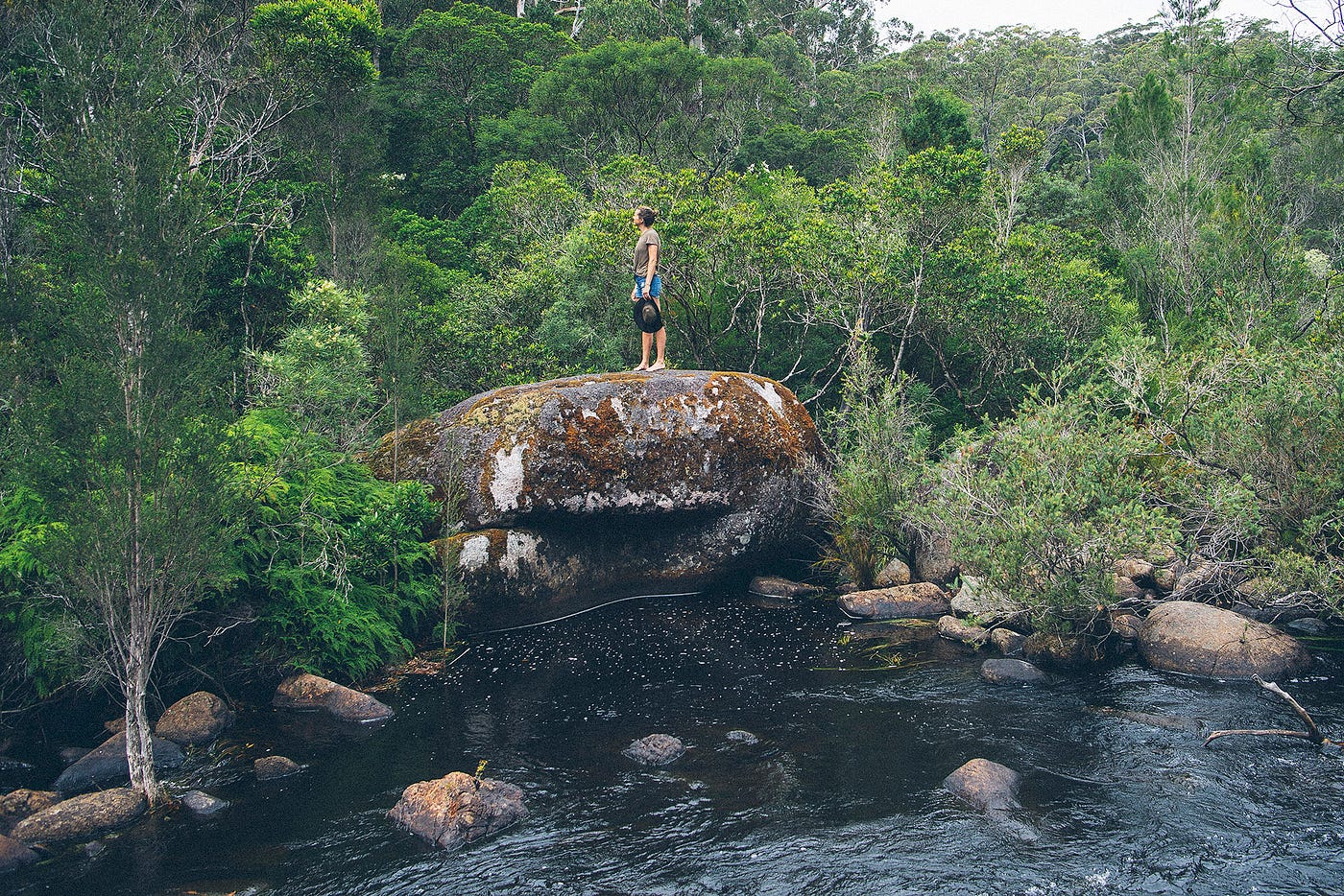 10 ways to connect with nature when you live in an urban environment ...