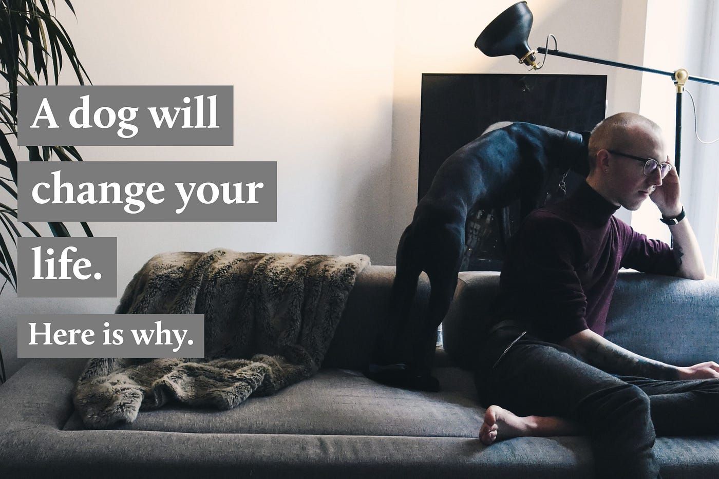 A dog will change your life. Here is why. | by jmawb | Change Your Mind ...