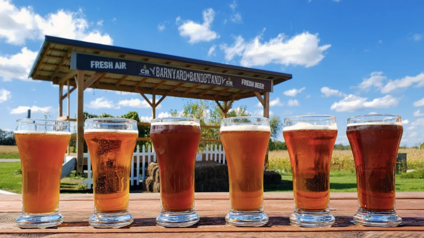 10 Great Spots to Grab Craft Beer on Tap in Rochester, NY | by Sofia ...