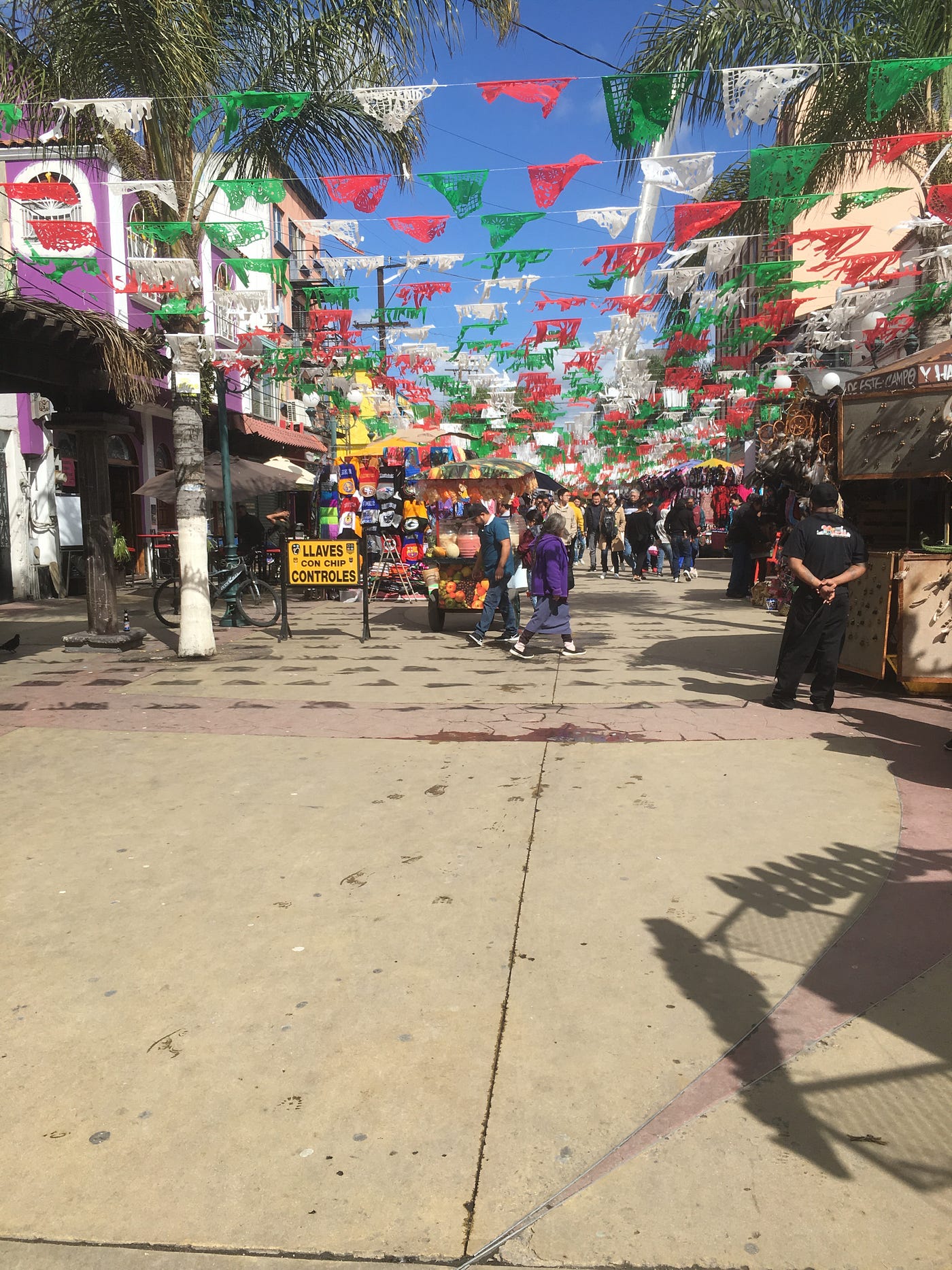 The Street Vendor. de Tijuana | by Mary Louisa Cappelli, MFA, JD, PhD ...