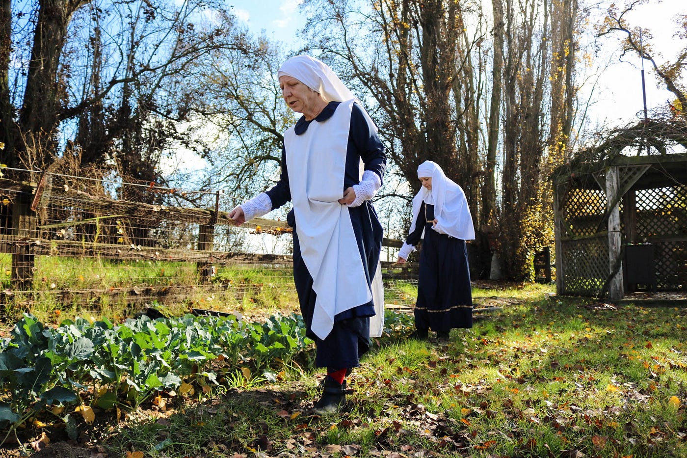 How I Became Sister Rosa, pt. 1. Tales from the Sisters of the Valley ...