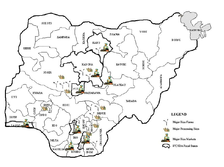 Commodity Spotlight: Rice. Commodity spotlight is designed to… | by ...