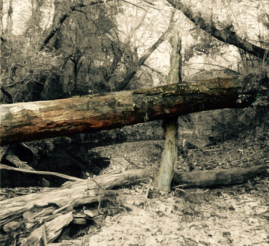 Outer Dark: A Photo Essay on the darkness of humanity and the ...