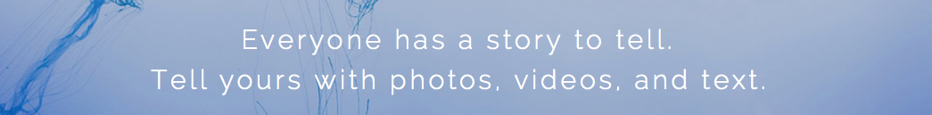 Steller stories: The future of digital storytelling? | by Gemma Cooney ...