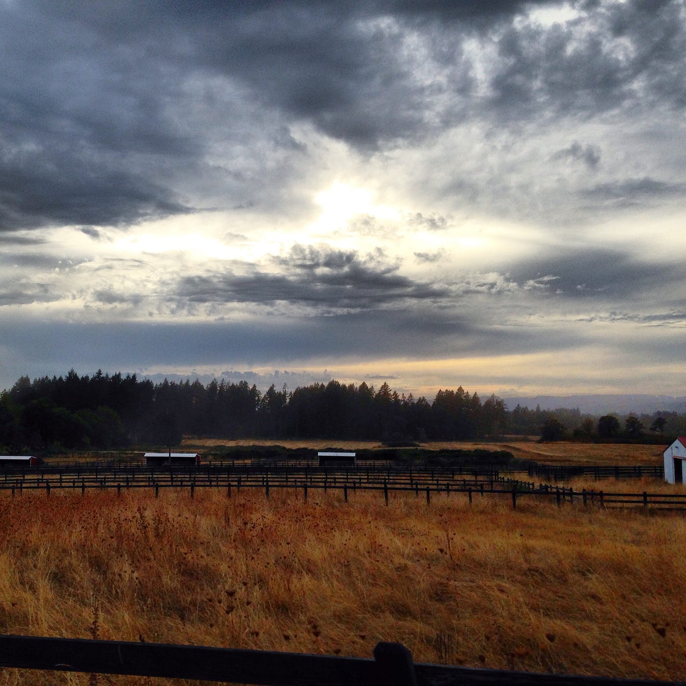 Six-Day Cabin: What we learned in the woods | by Aaron Flack | Medium