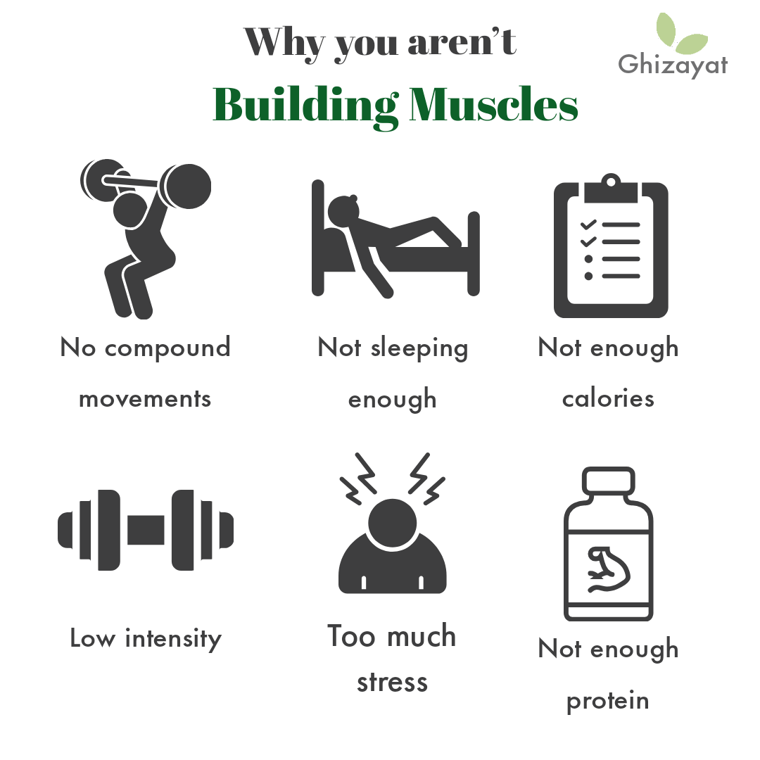 WHY YOU’RE NOT BUILDING MUSCLES | Ghizayat | by Ghizayat | Medium