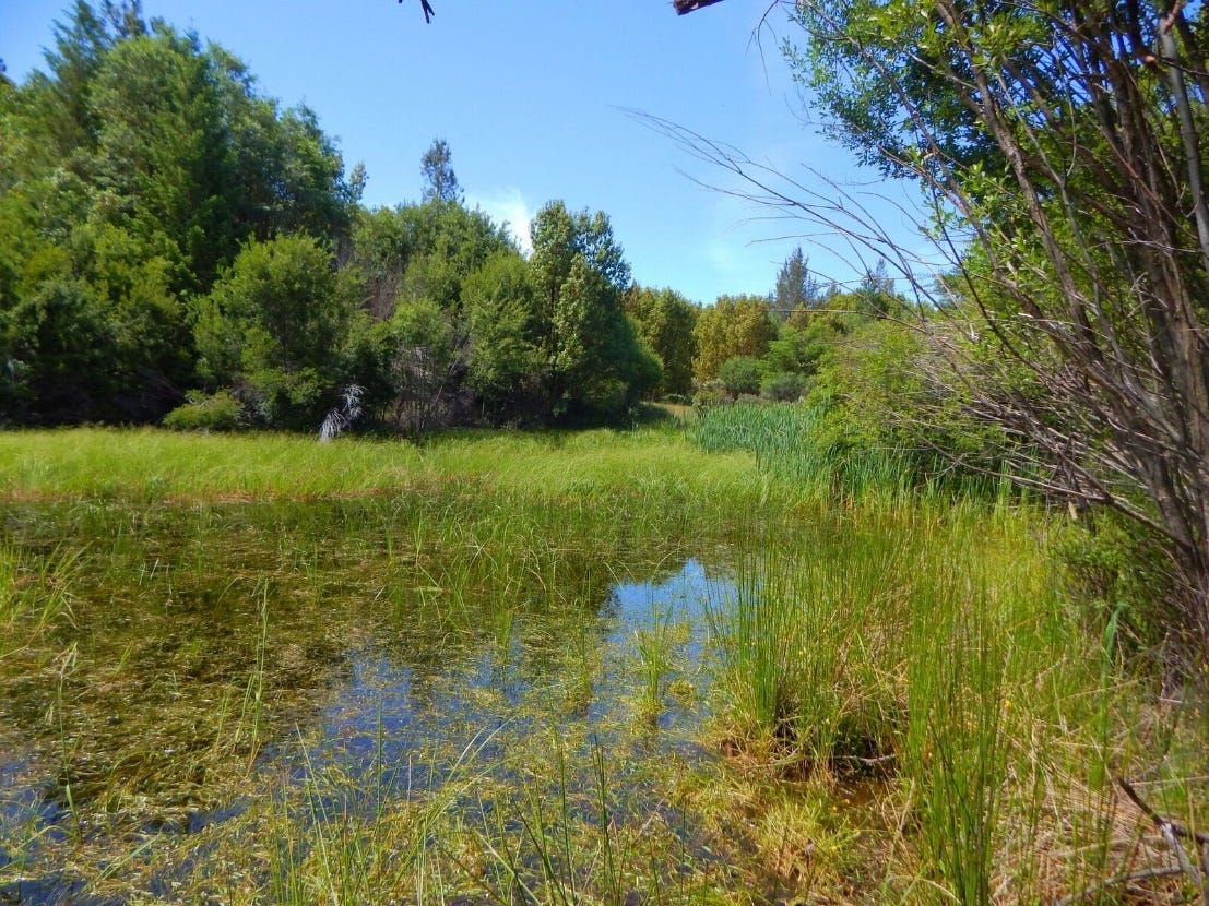 New Wilderness in Mendocino!. Great news: Wilderness was just… | by CA ...