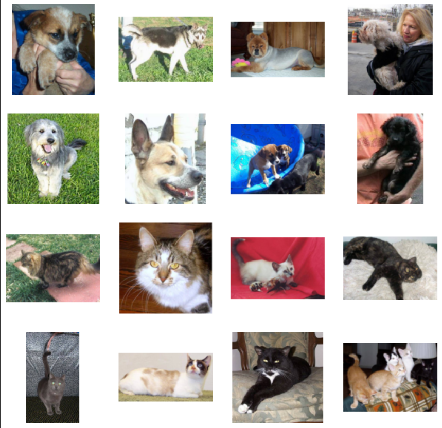 Binary Image Classification in PyTorch | by Marcello Politi | Towards ...