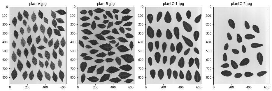 Image Processing with Python: Applications in Machine Learning | by Jephraim Manansala ...