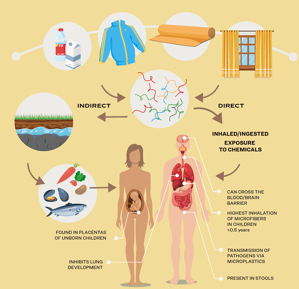 It’s Time to End Our Toxic Love Affair with Synthetic Clothing | by ...