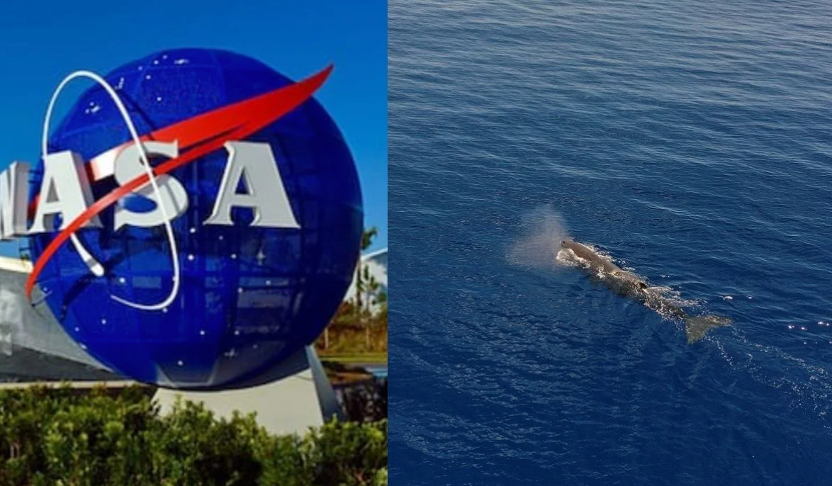 Why NASA started exploring the ocean first? | by Taisa Hrynewycz | Medium