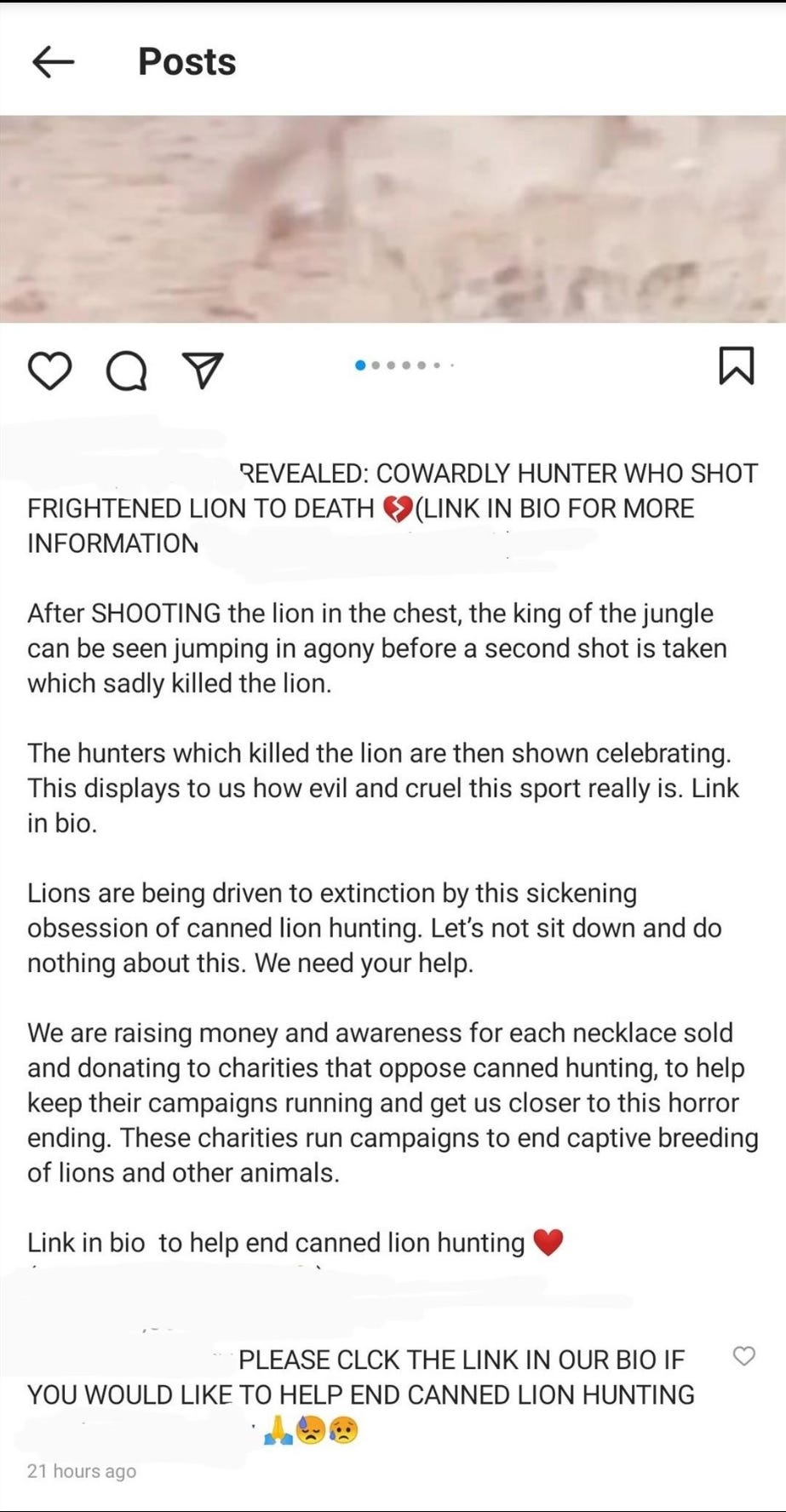Stop Hunting Animals. Animals are an important part of our… | by ...