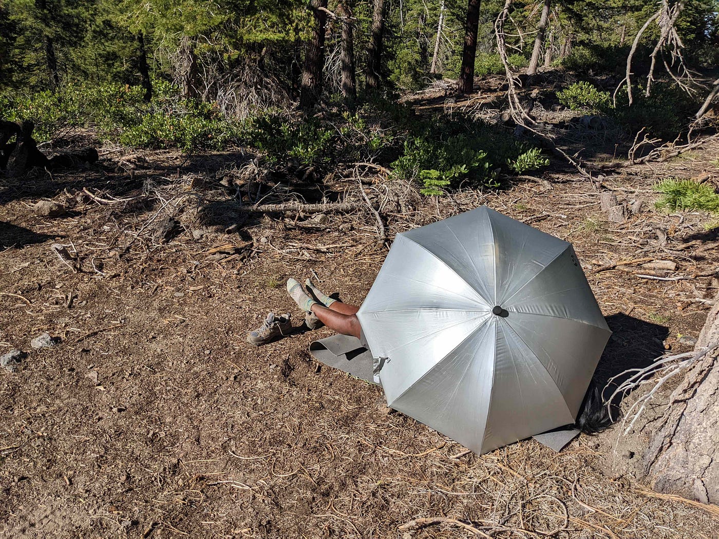 Backpacking the Tahoe Rim Trail — Part 3 | by Veda Murthy | Aug, 2022 ...