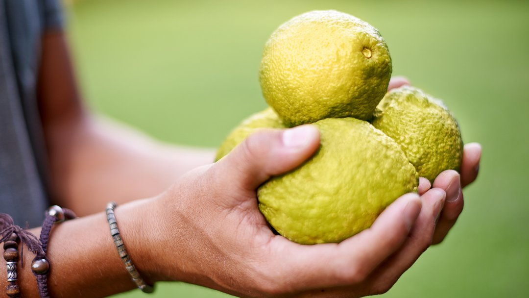 When Life Gives You Lemons, Sometimes You Can’t Hand Them Back | by ...