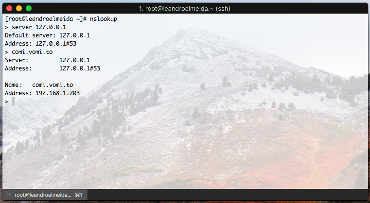 DNS Server with Webmin | by Leandro Almeida | Medium