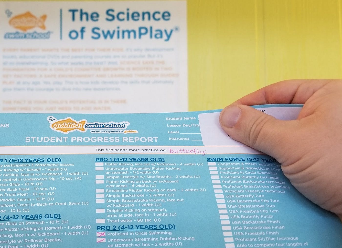The Design of Effective Swim Lessons (And What Teachers Need to Know ...