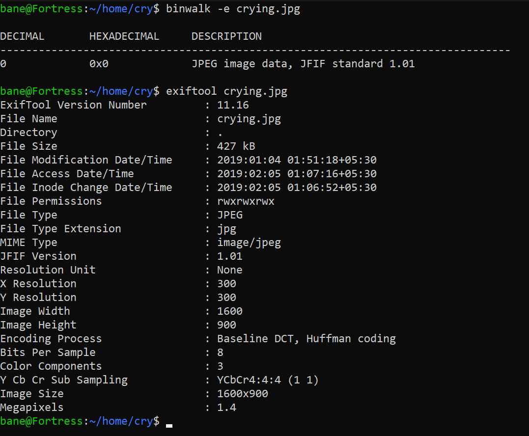 Evlz-CTF 2019: Don’t Cry (400) Writeup | by Achilles | Medium
