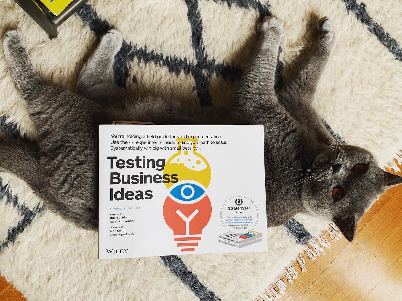 Book Sips #30 — ‘Testing Business Ideas’ by David J. Bland et al. | by ...