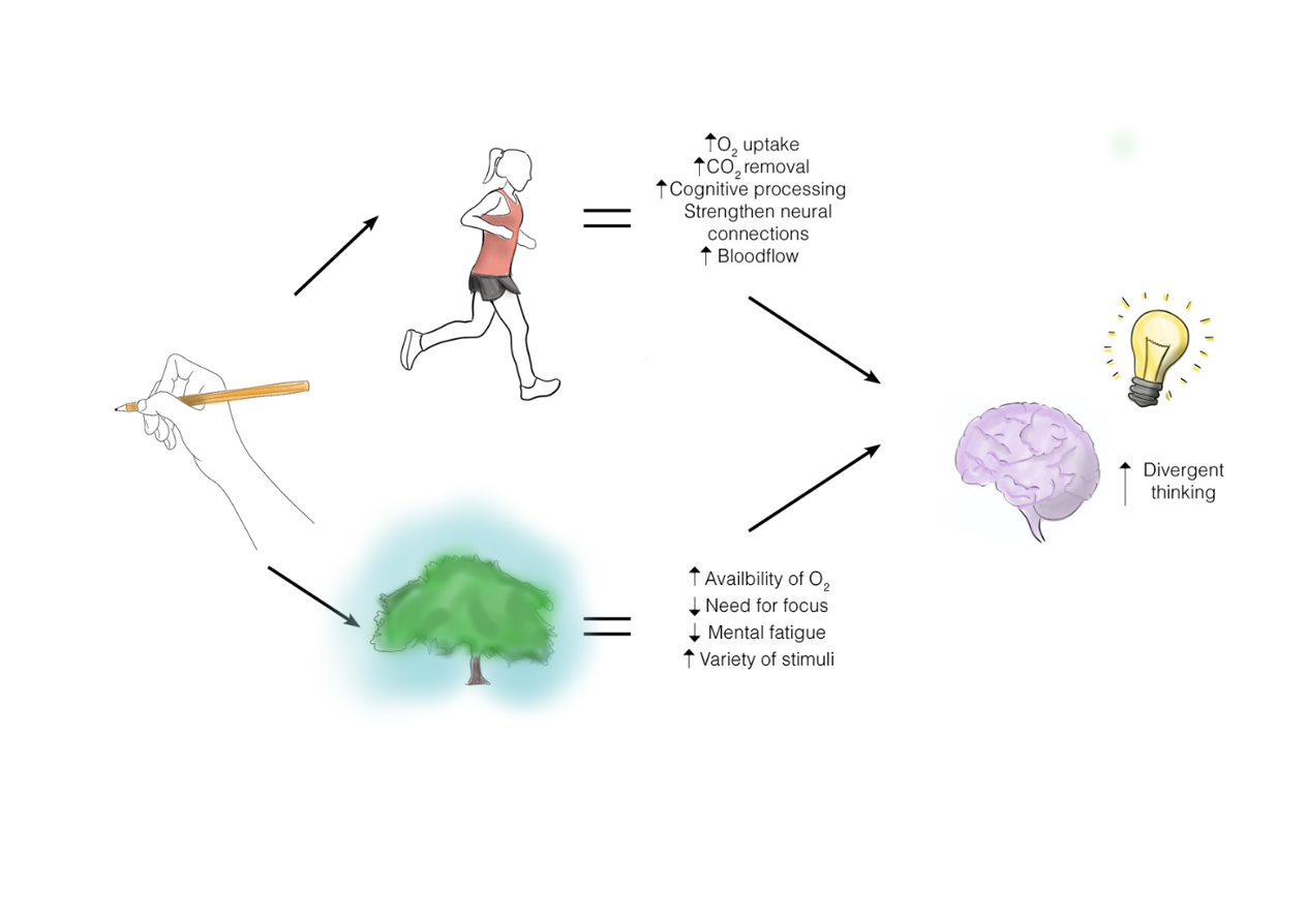 A Walk in the Park;. Using physical activity to foster… | by Sarah ...
