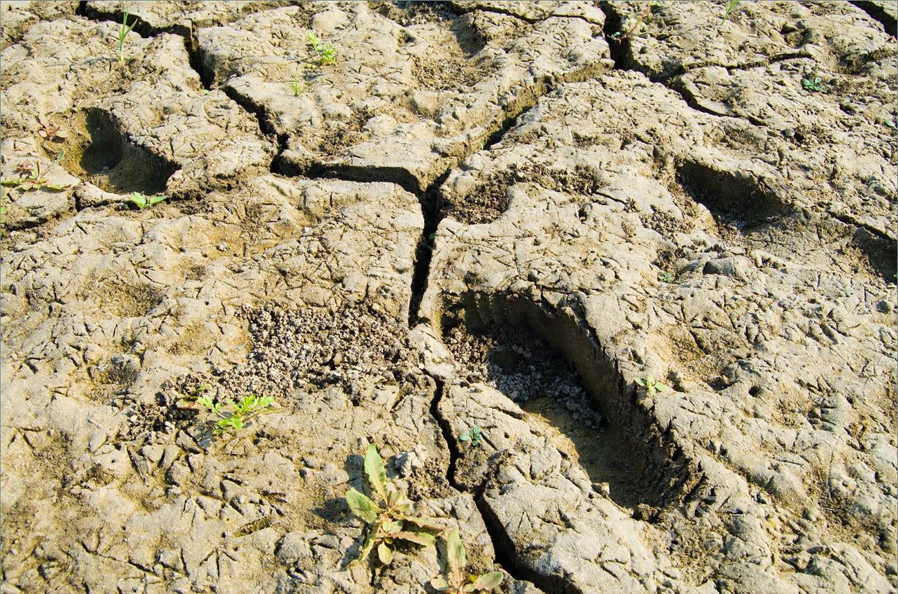 The mud-rock spectrum. The following is a metaphor that… | by Duncan A ...