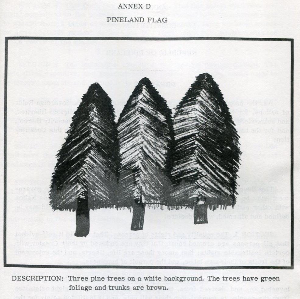 Pineland: 1968 Army Special Warfare School Area Exercise Study Guide ...