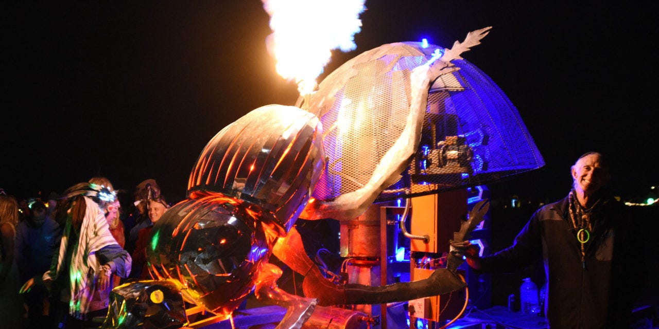 This Flame-farting Beetle is Saving Our Planet | by Heidi Laura ...