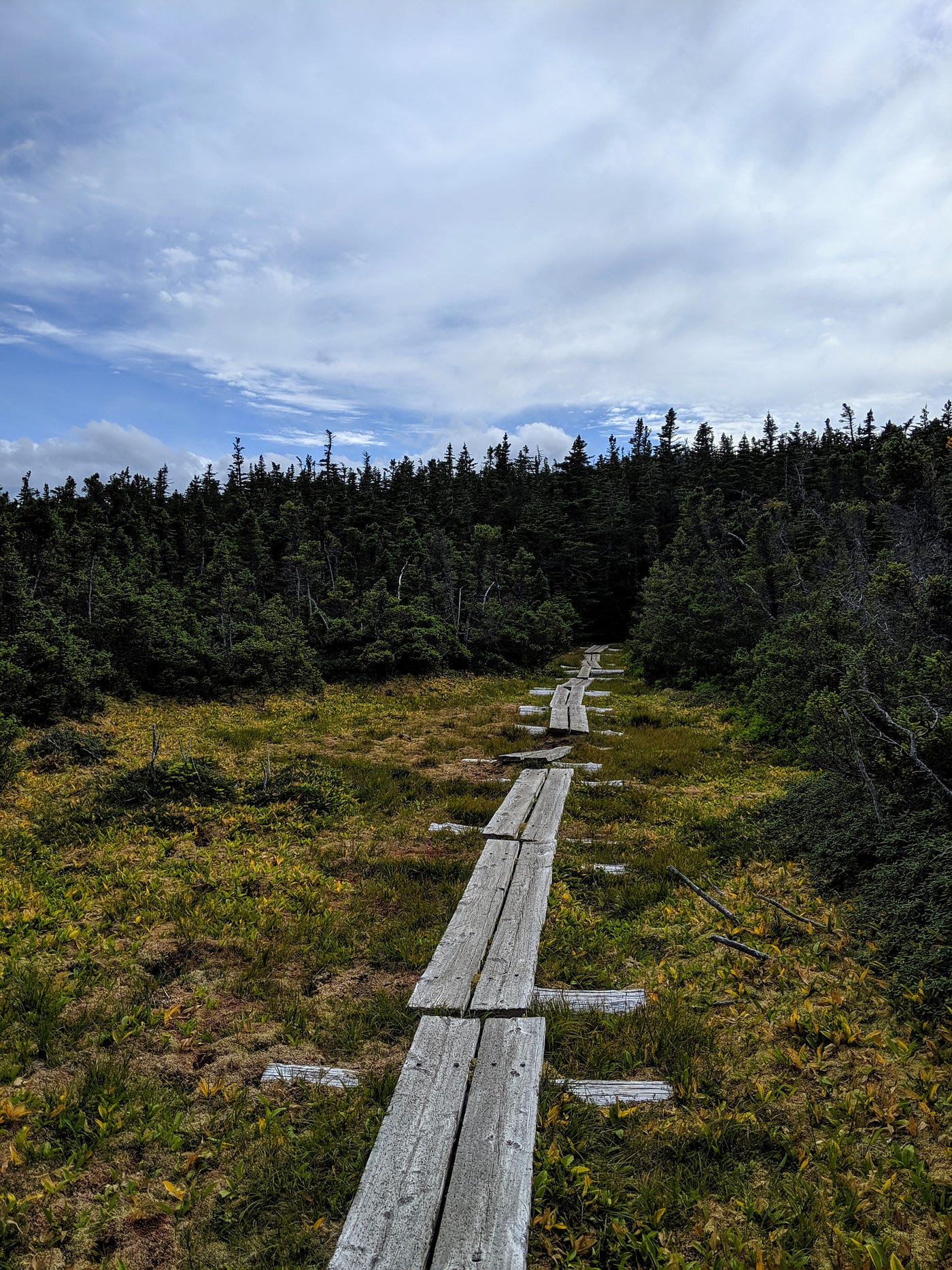 Middle Carter Mountain via Imp Face | by Bob Corsaro | Medium
