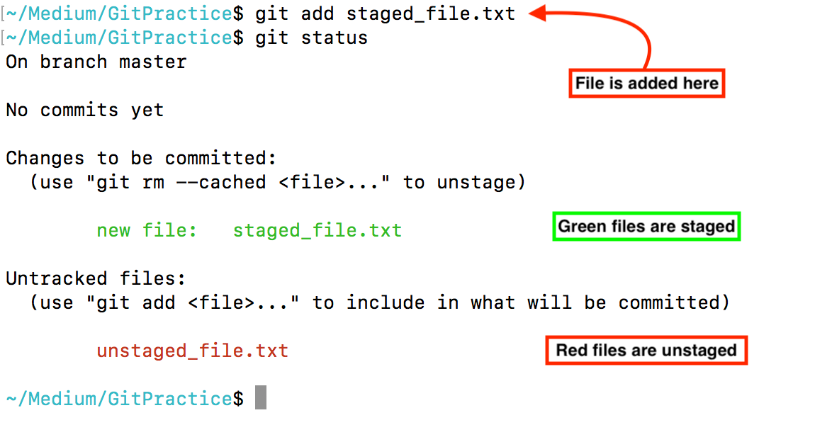 Command Line Git — For Beginners. Terminal Git… a profound, scary space ...