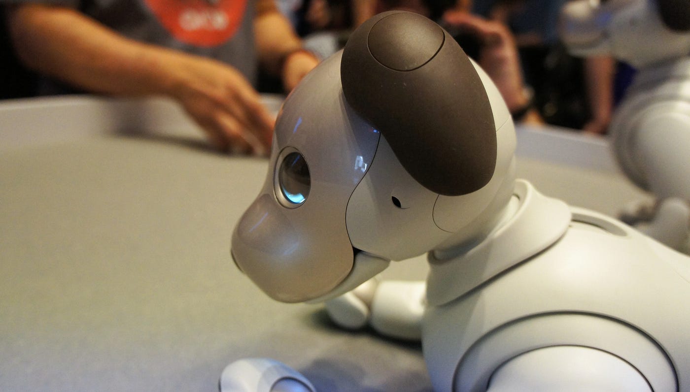 Sony AIBO finally returns to the U.S., but it’s one expensive pup | by Lance Ulanoff | Medium