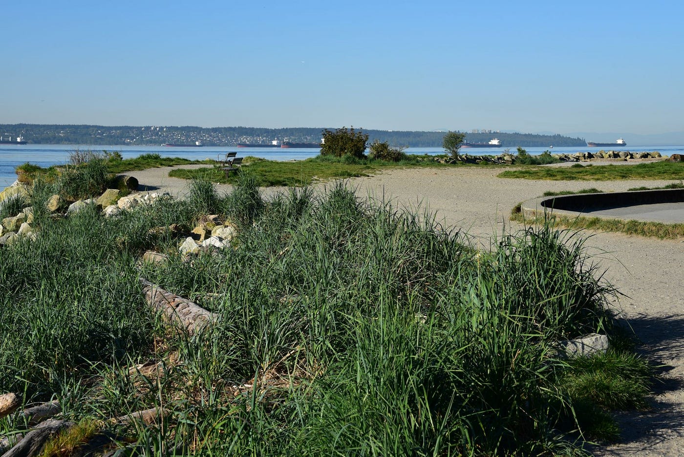 Enjoying a Walk Through Ambleside Park, West Vancouver | by Janin ...