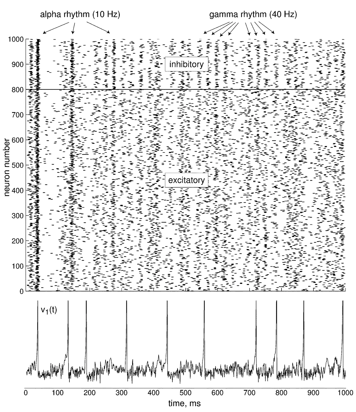 The Izhikevich Neuron Model. Paper Summary: “Simple Model of Spiking ...