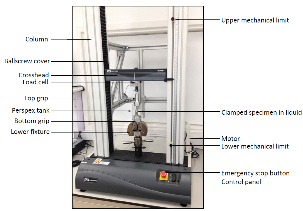 How an imaging technique helped me understand the mechanics of a ...