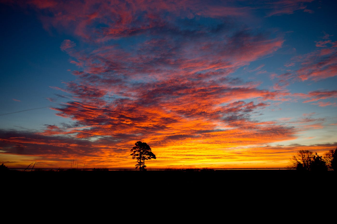 Colors in Nature. Orange ~ part 6 | by Ray Hennessy | Medium