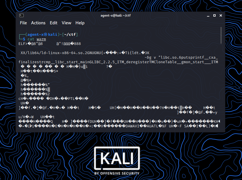 PICO CTF Wave a Flag [GENERAL SKILL] - MR SHAN - Medium