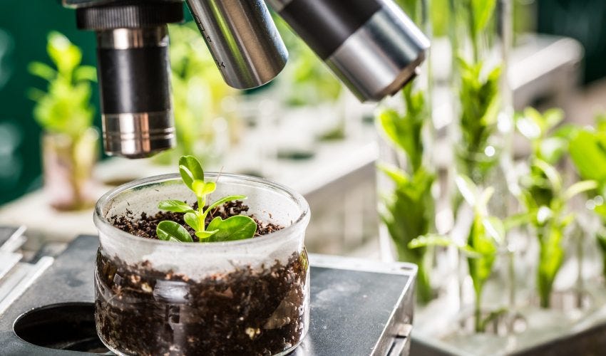 How Plant Breeding Technology is Promoting 21st Century Green ...